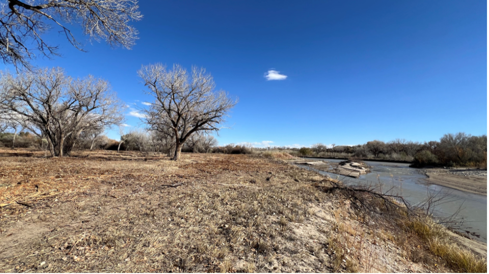 State Forestry Success Stories | Council of Western State Foresters